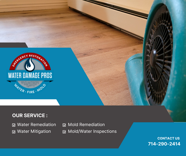 Water Remediation and Mitigation in Mount Pleasant - Water Damage Pros